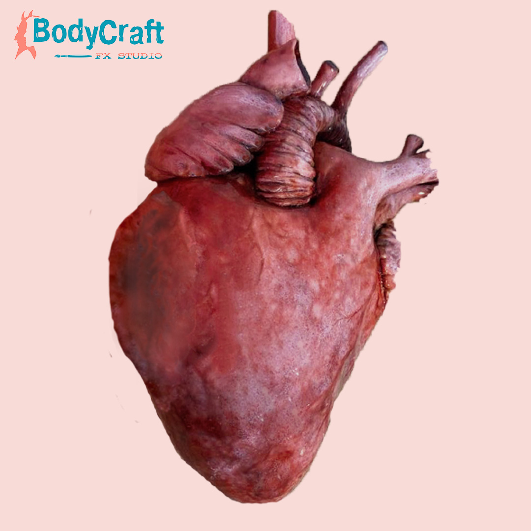 HUMAN HEART - BodyCraft FX STUDIO